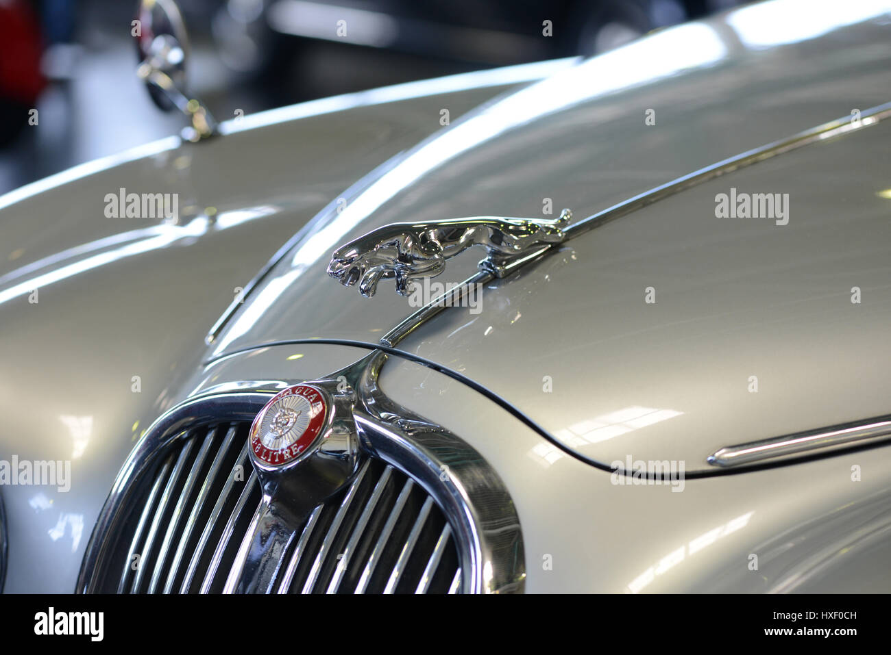 Jaguar logo -Fotos und -Bildmaterial in hoher Auflösung – Alamy