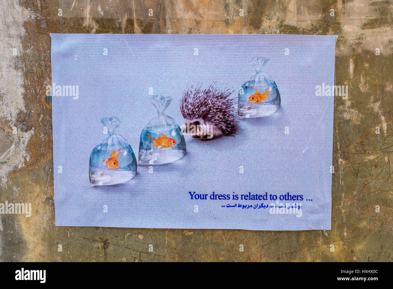 Moschee regeln -Fotos und -Bildmaterial in hoher Auflösung – Alamy