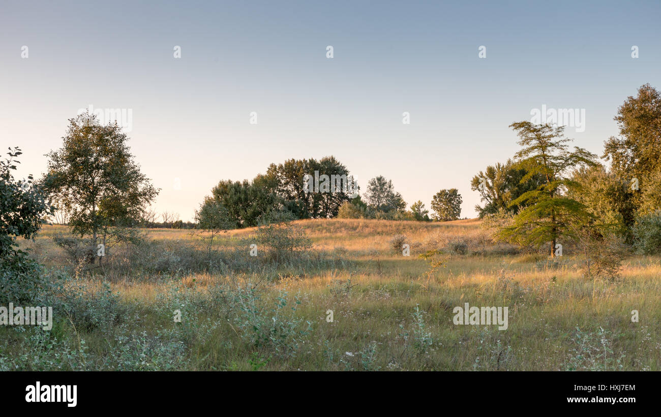 Puszta hungary -Fotos und -Bildmaterial in hoher Auflösung – Alamy