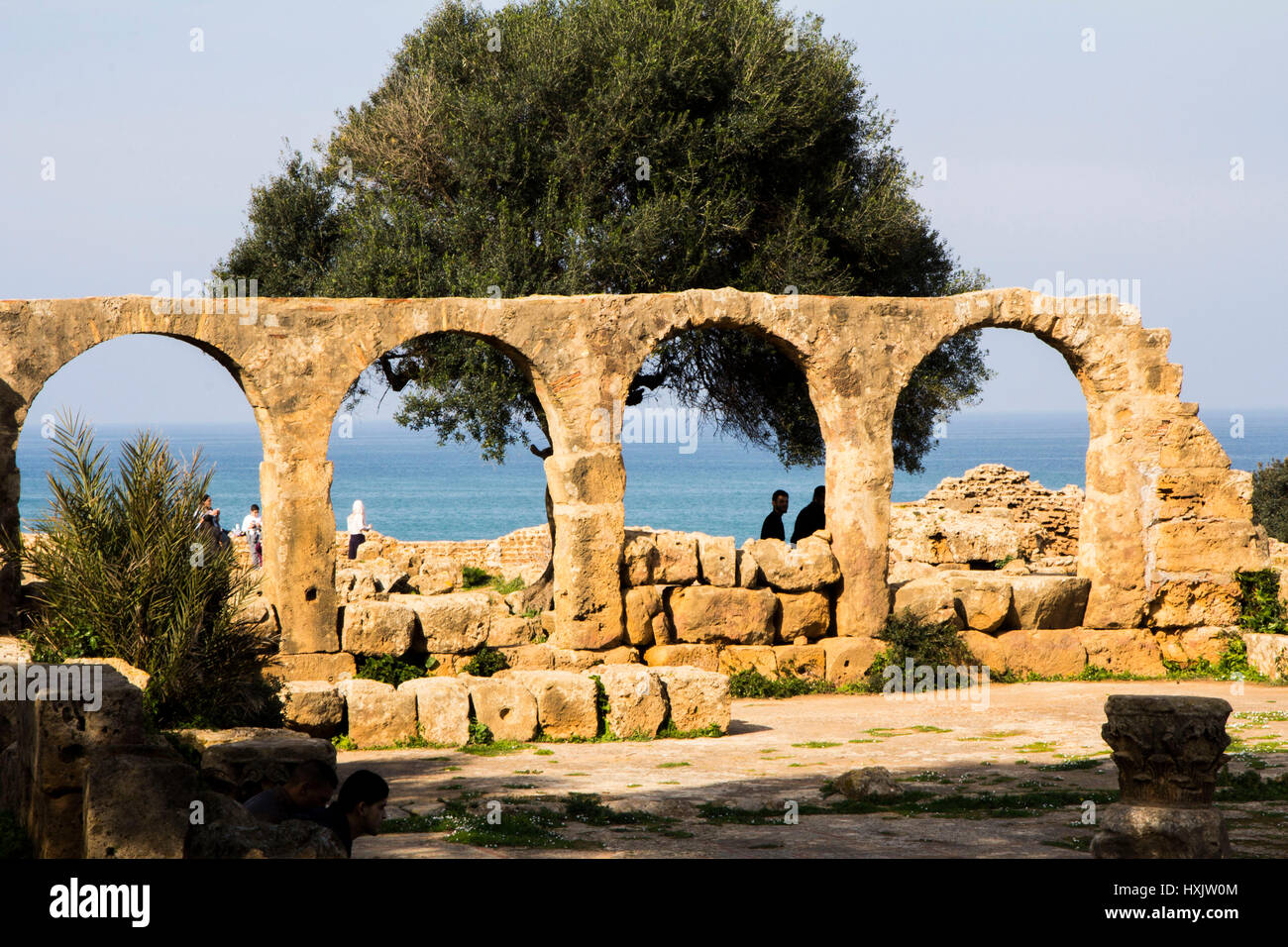 Tipaza archeological park -Fotos und -Bildmaterial in hoher Auflösung ...