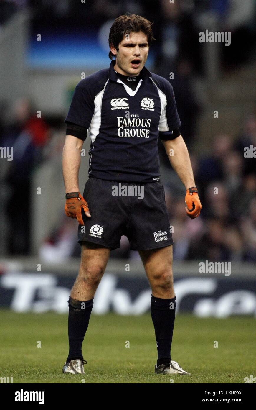 Marcus rollo Stockfotos und -bilder Kaufen - Alamy