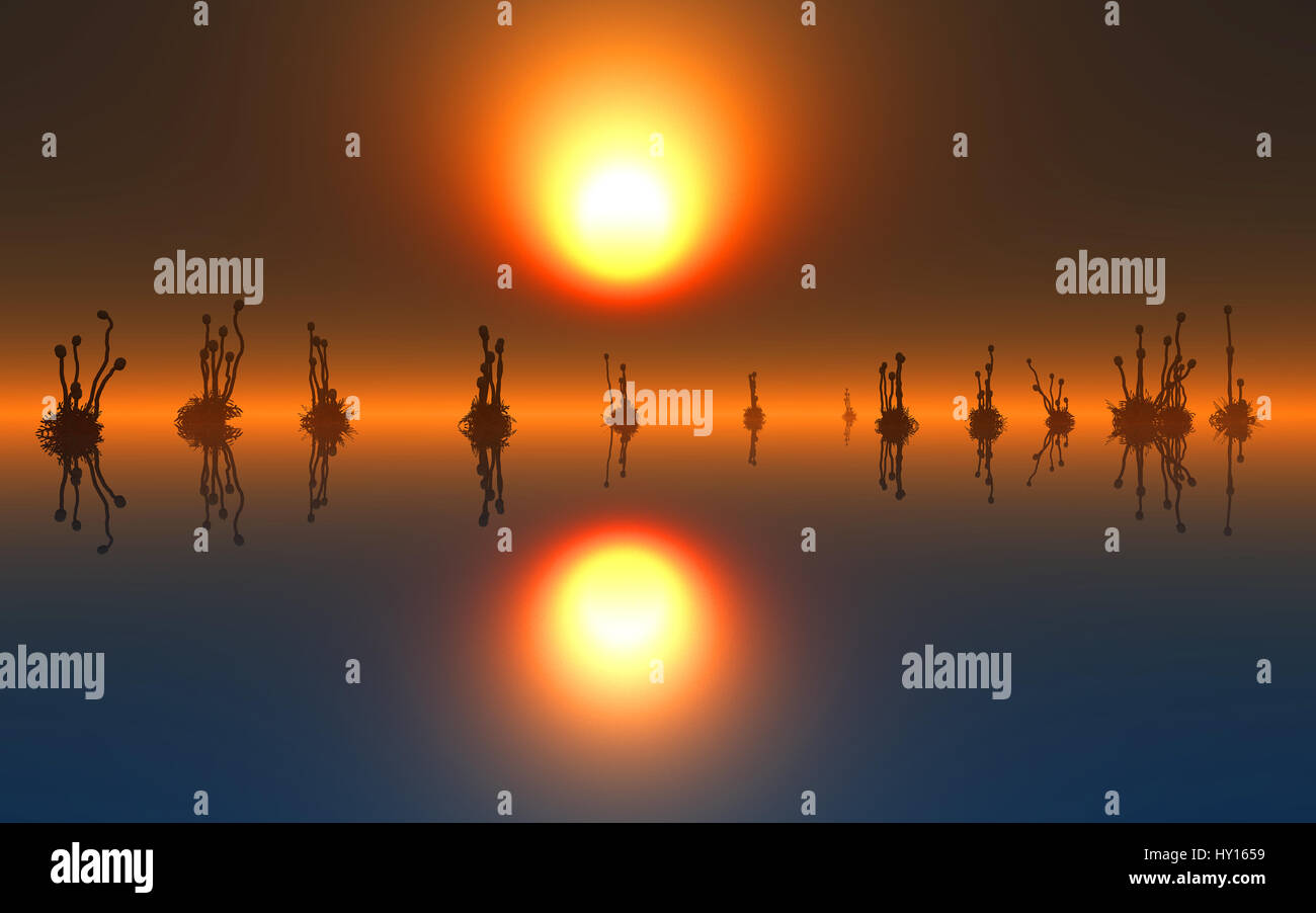 Exoplanet Proxima Centauri In einer Umlaufbahn um Proxima Centuari, ein ...