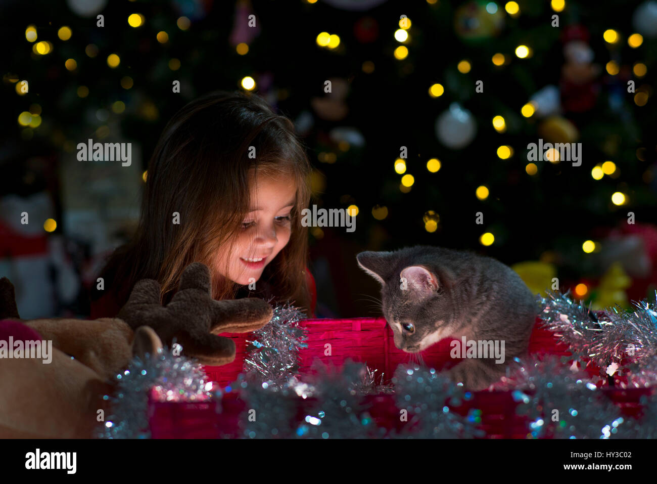 Kleines mädchen mit katze -Fotos und -Bildmaterial in hoher Auflösung ...
