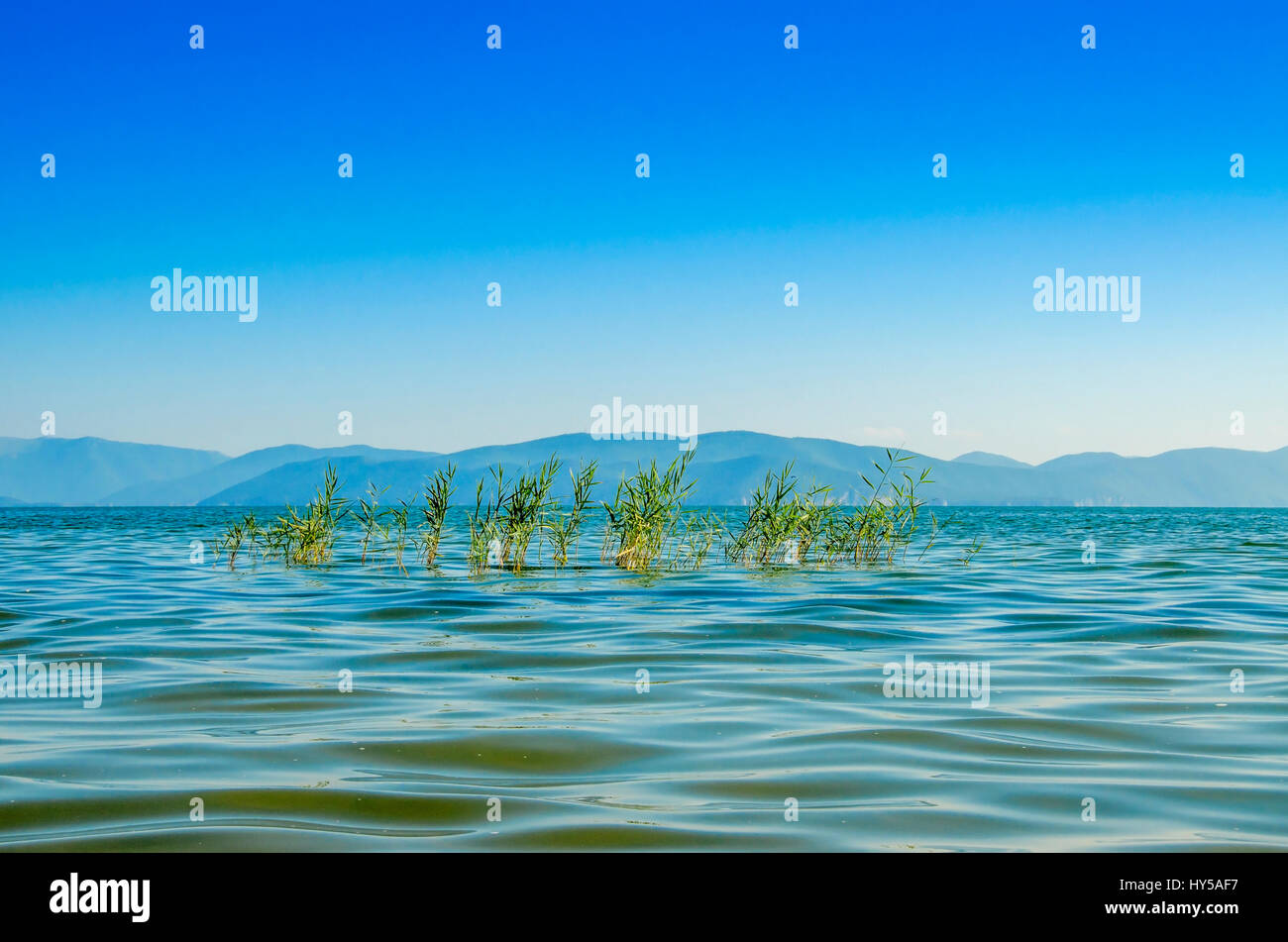 Prespansko ezero -Fotos und -Bildmaterial in hoher Auflösung – Alamy