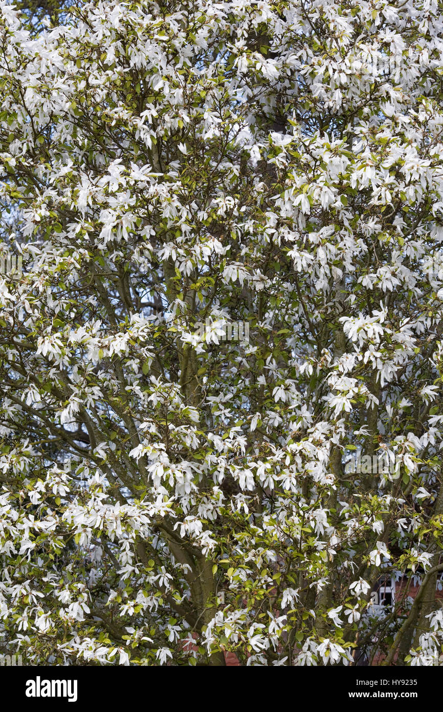 Wadas speicher -Fotos und -Bildmaterial in hoher Auflösung – Alamy