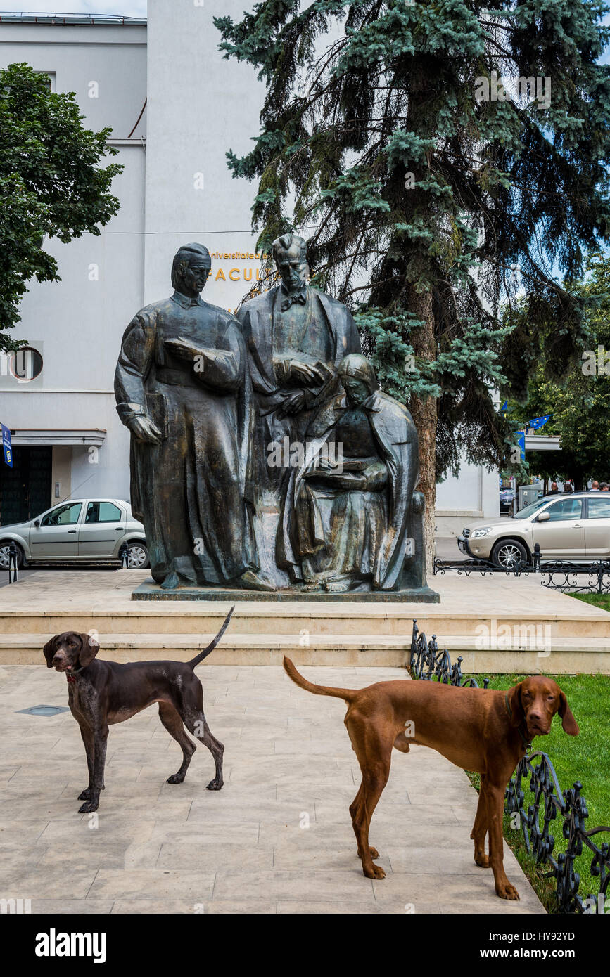 Gheorghe sincai -Fotos und -Bildmaterial in hoher Auflösung – Alamy