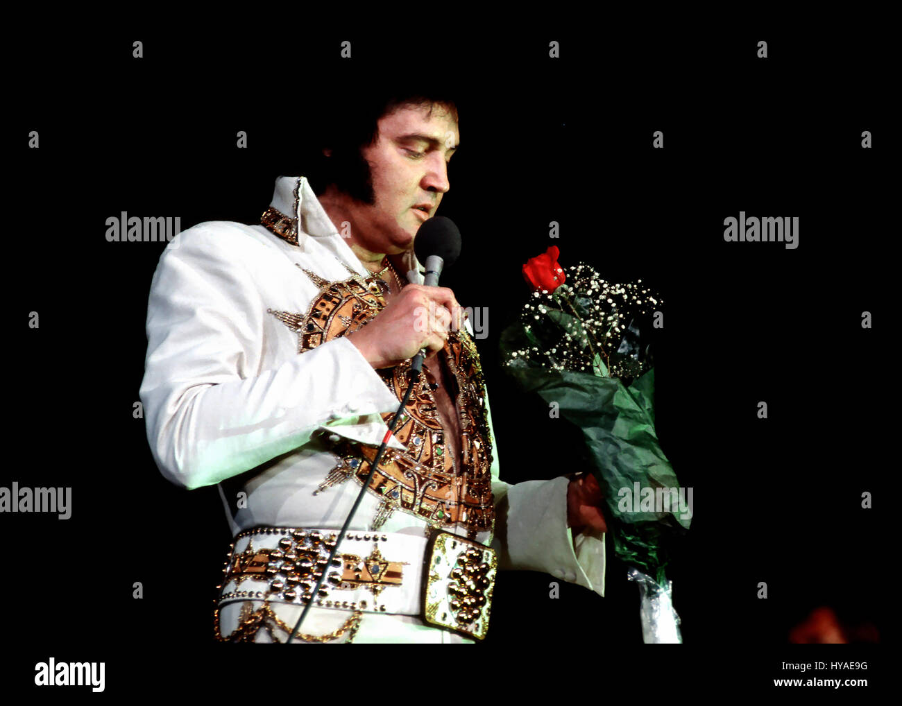 Elvis 1977 Stockfotos und -bilder Kaufen - Alamy