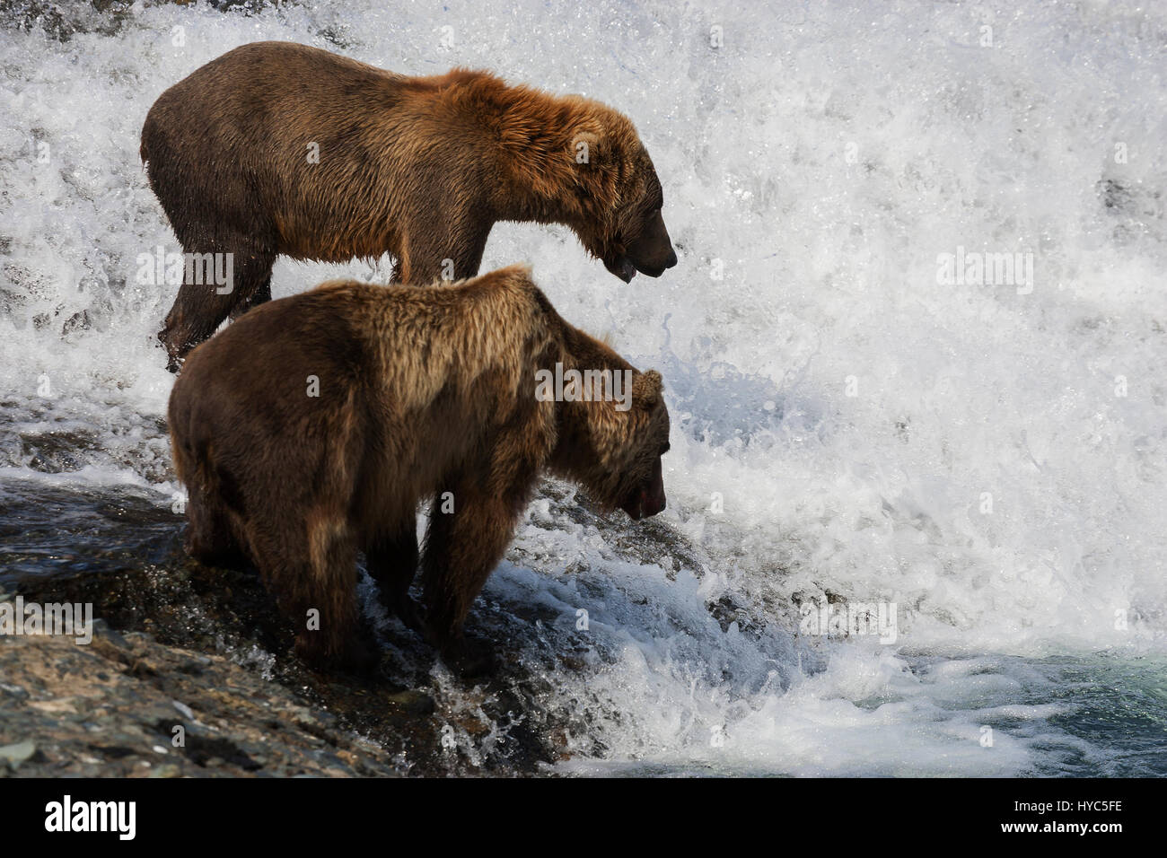 Mcneil falls -Fotos und -Bildmaterial in hoher Auflösung – Alamy