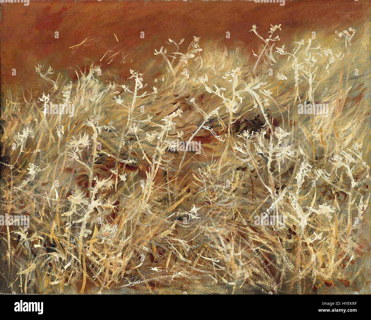 Disteln ölbild -Fotos und -Bildmaterial in hoher Auflösung – Alamy