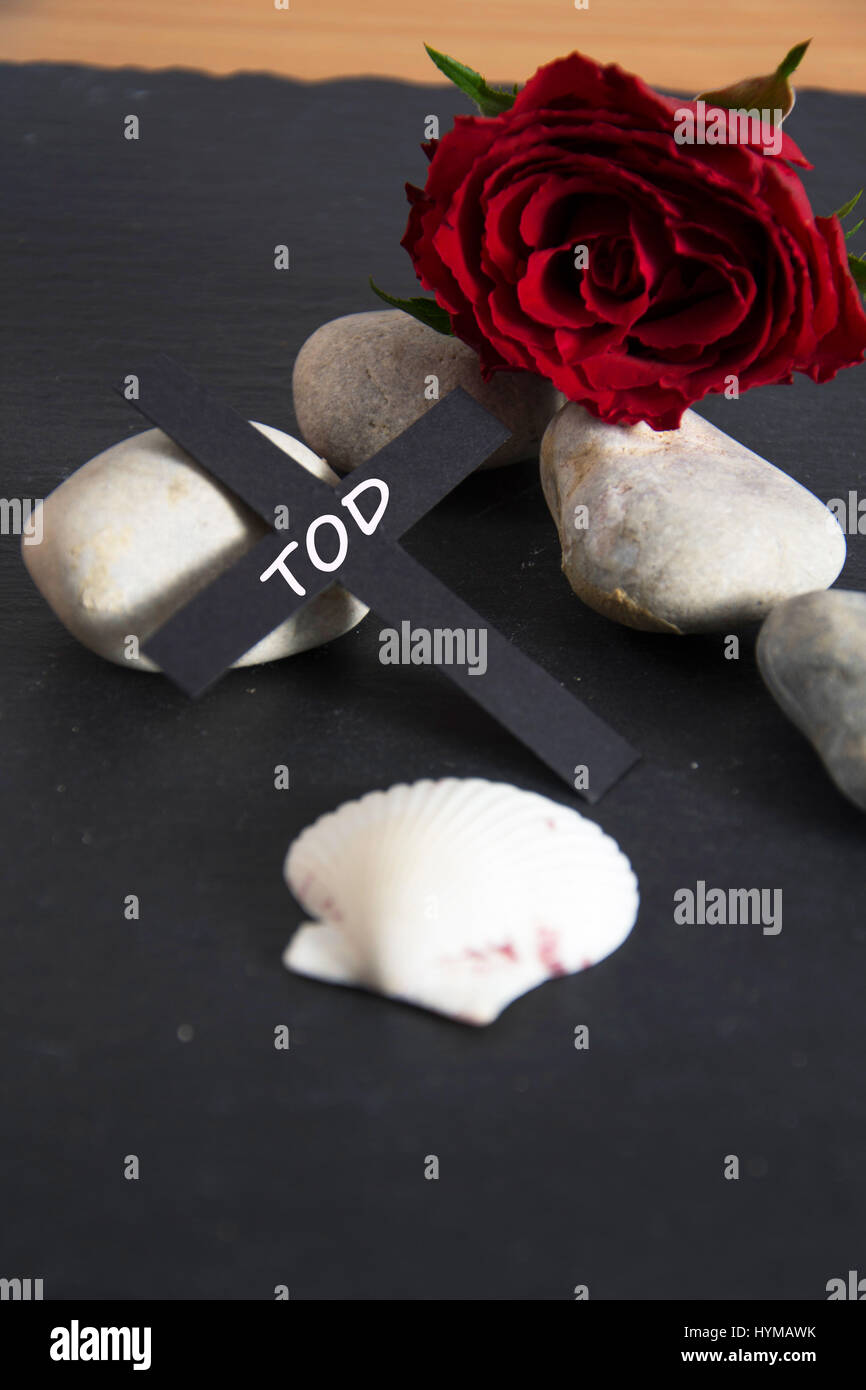 Entschuldigung karte mit blumen -Fotos und -Bildmaterial in hoher Auflösung – Alamy