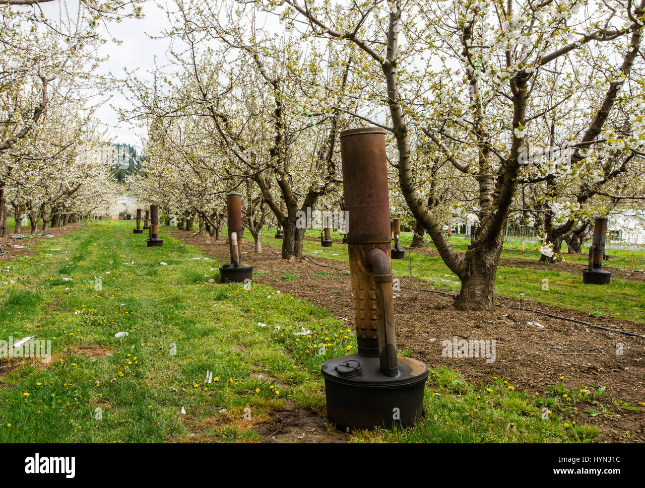 Orchard heater store