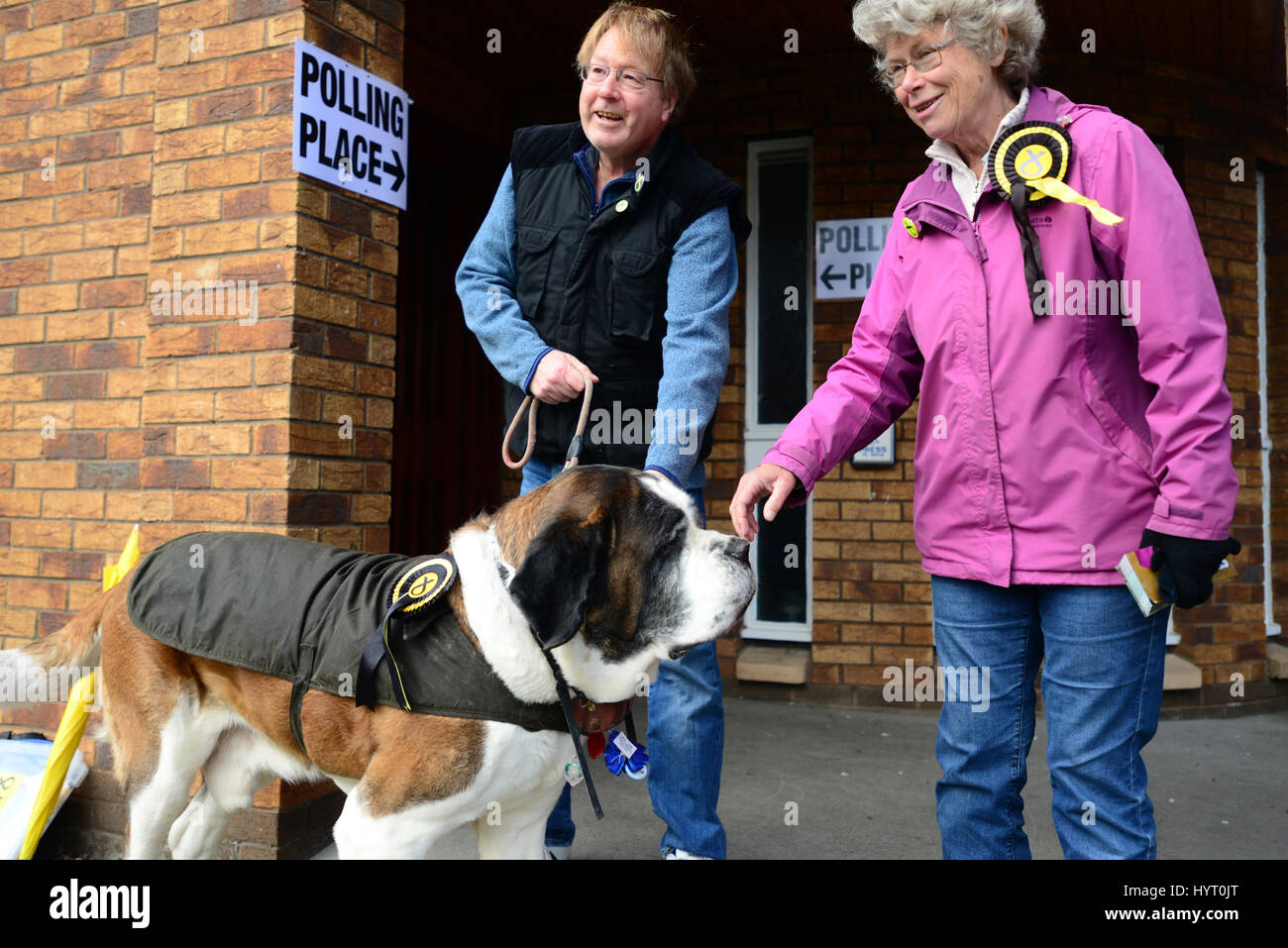 Alison nicol -Fotos und -Bildmaterial in hoher Auflösung – Alamy