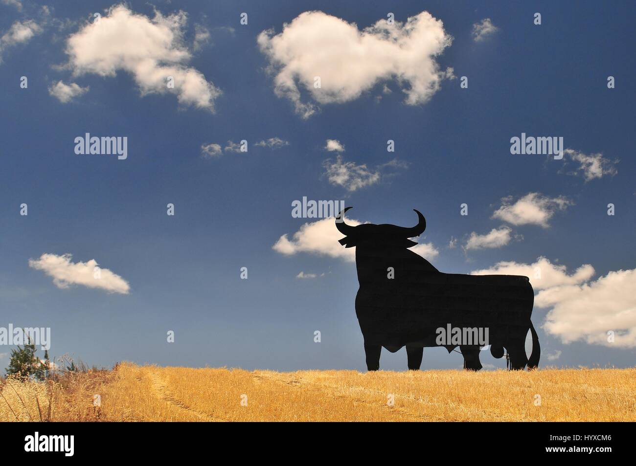 Toros de osborne -Fotos und -Bildmaterial in hoher Auflösung – Alamy