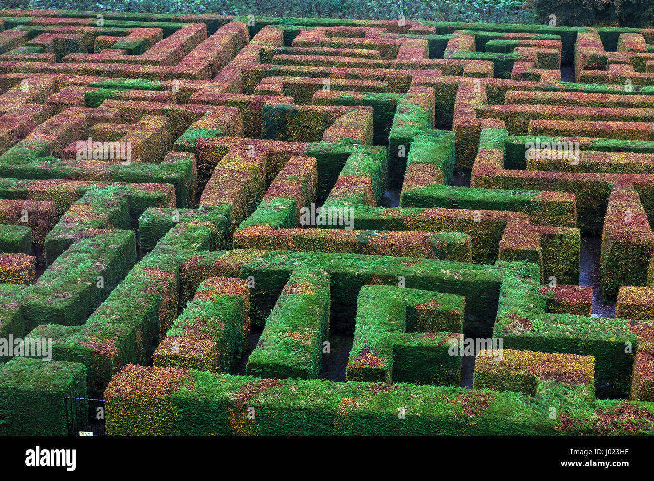 Maze hedge pattern labyrinth -Fotos und -Bildmaterial in hoher ...