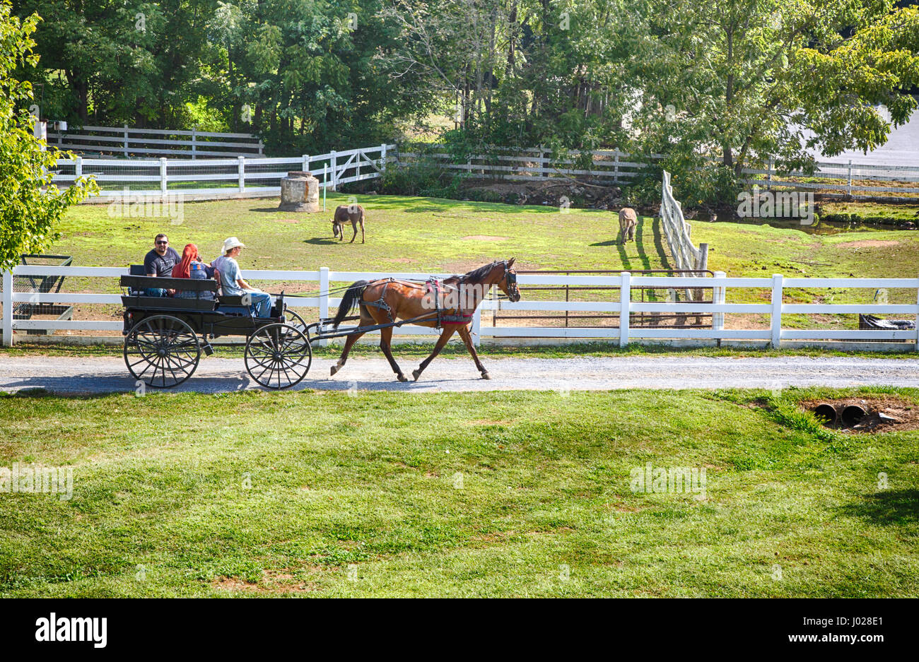 Touristen geben -Fotos und -Bildmaterial in hoher Auflösung – Alamy