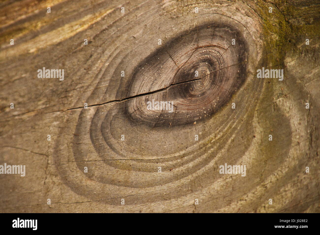 Struktur von materialien -Fotos und -Bildmaterial in hoher Auflösung ...