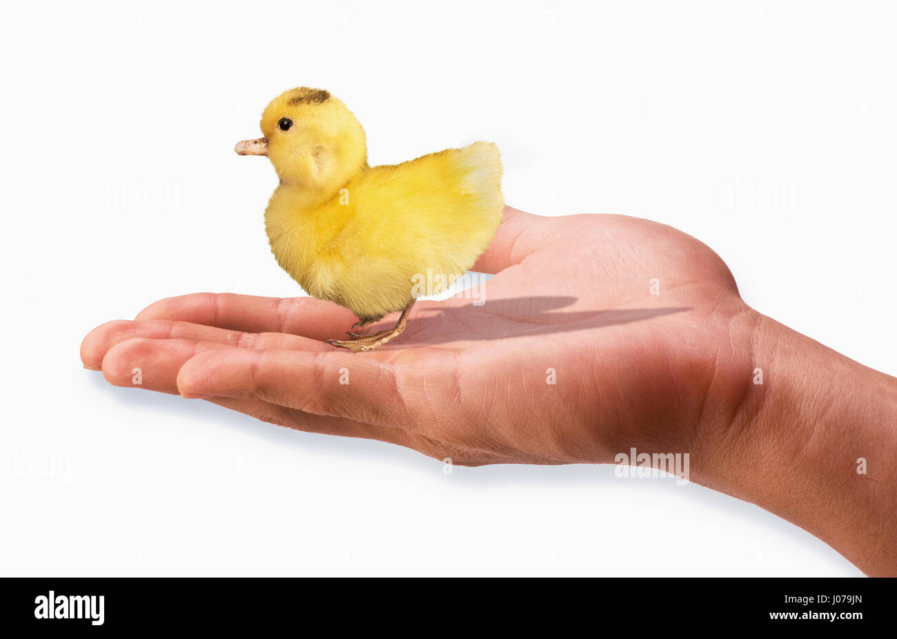 Kleine gelbe fahrt -Fotos und -Bildmaterial in hoher Auflösung – Alamy