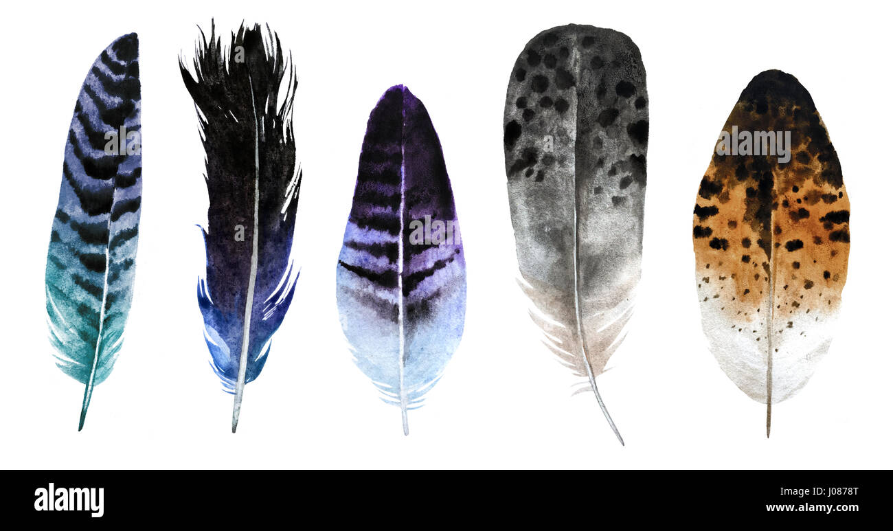 Aquarell und Feder Stockfotos und -bilder Kaufen - Alamy