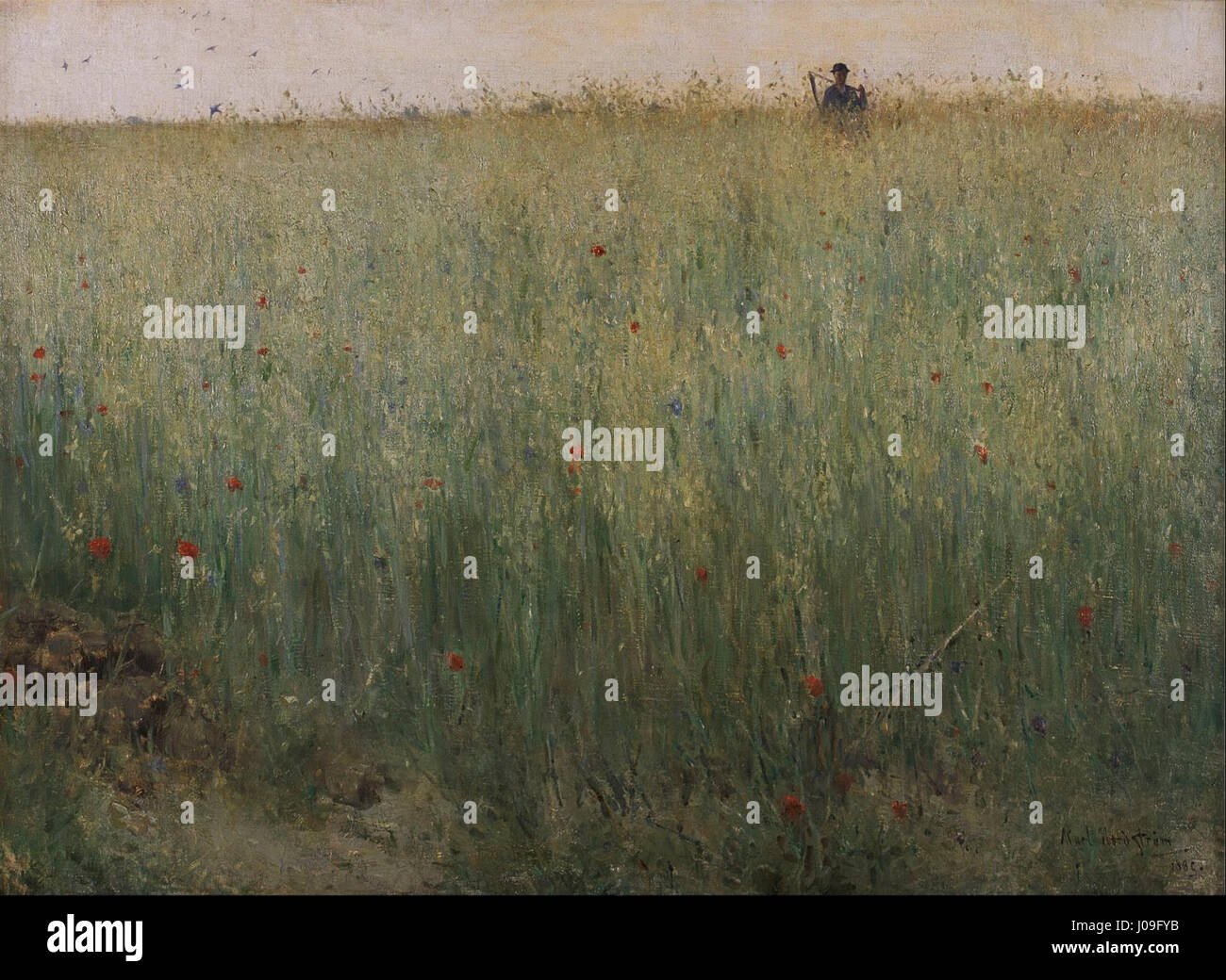 Zeichnen von hafer -Fotos und -Bildmaterial in hoher Auflösung – Alamy