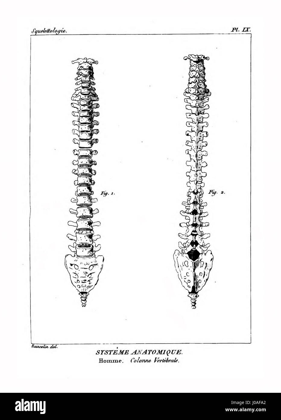 Diese Platte aus der „Encyclopédie méthodique“ zeigt detaillierte ...