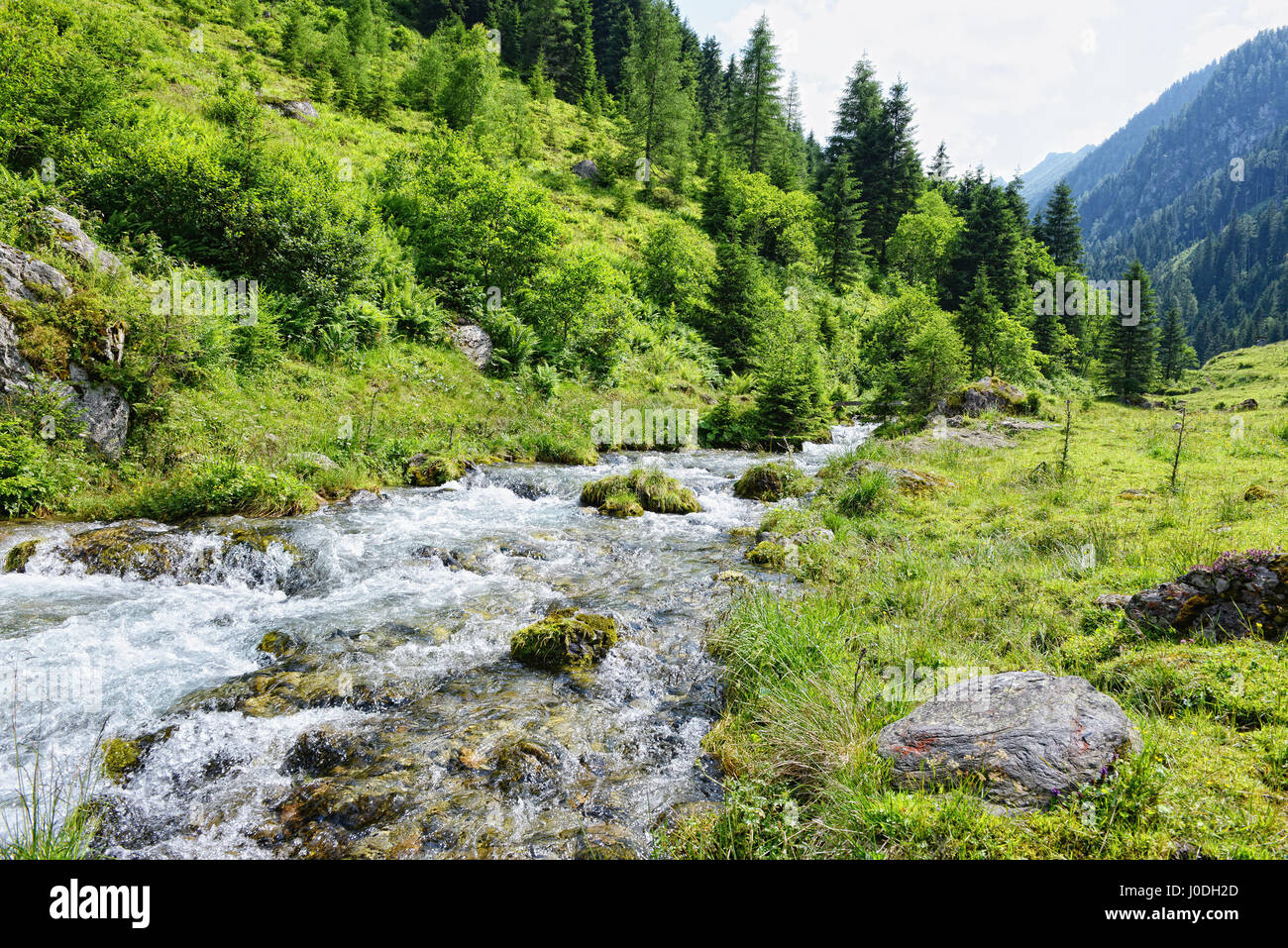 Almwiese am fluss schwarzach -Fotos und -Bildmaterial in hoher ...