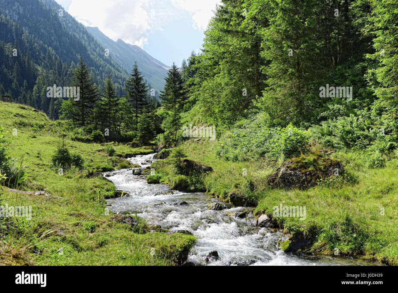 Almwiese am fluss schwarzach -Fotos und -Bildmaterial in hoher ...