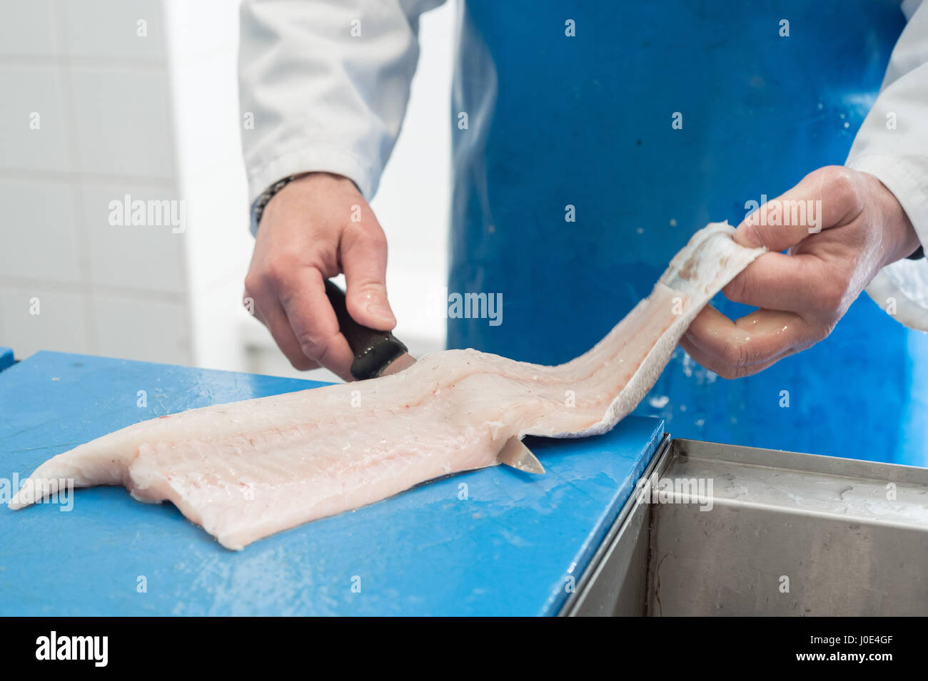 Forelle Filetieren Stockfotos und -bilder Kaufen - Alamy