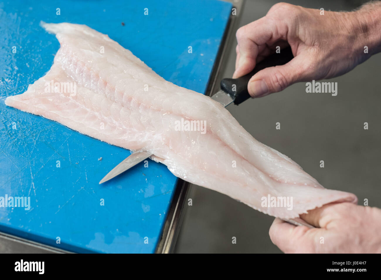 Vorbereitung einer frischen Forellen filetieren Stockfotografie - Alamy