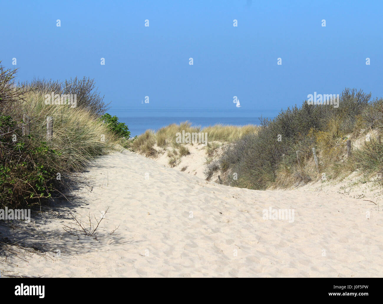 Weg durch die Dünen in Richtung Strand von Cadzand Bad in Zeeuws ...