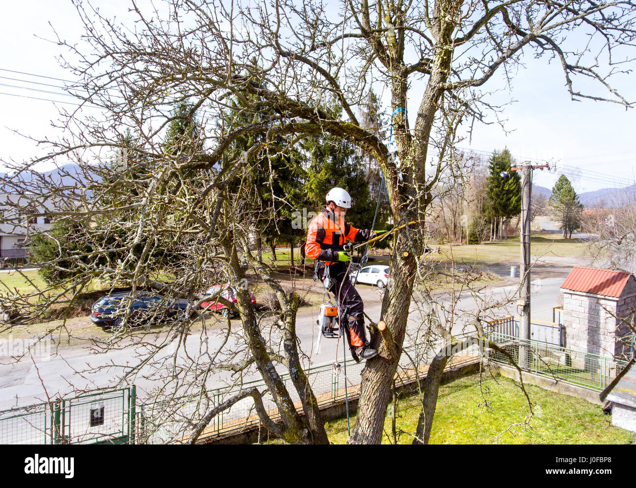 Baumpfleger Seil Stockfotos und -bilder Kaufen - Alamy