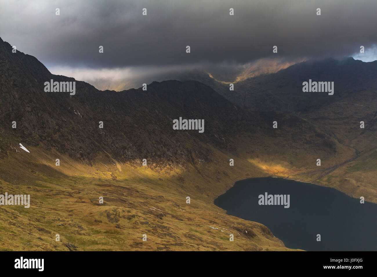 Grib coch -Fotos und -Bildmaterial in hoher Auflösung – Alamy