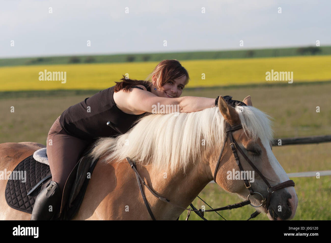 Eine junge Frau posiert auf einem Pferd, Pferderasse Haflinger ...