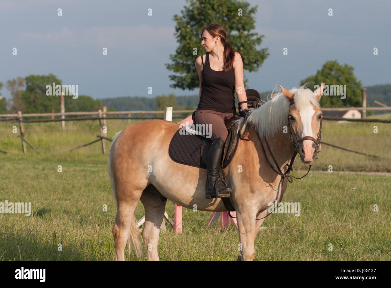 Eine junge Frau posiert auf einem Pferd, Pferderasse Haflinger ...