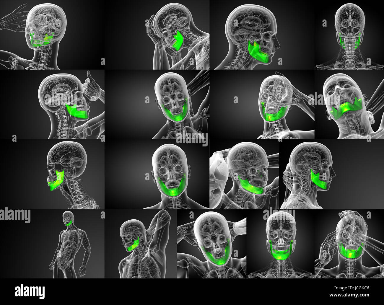 Anatomie der zahnphysiologie -Fotos und -Bildmaterial in hoher ...