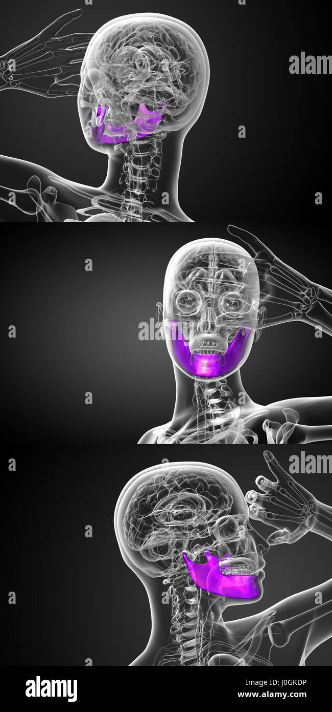 Anatomie der zahnphysiologie -Fotos und -Bildmaterial in hoher ...