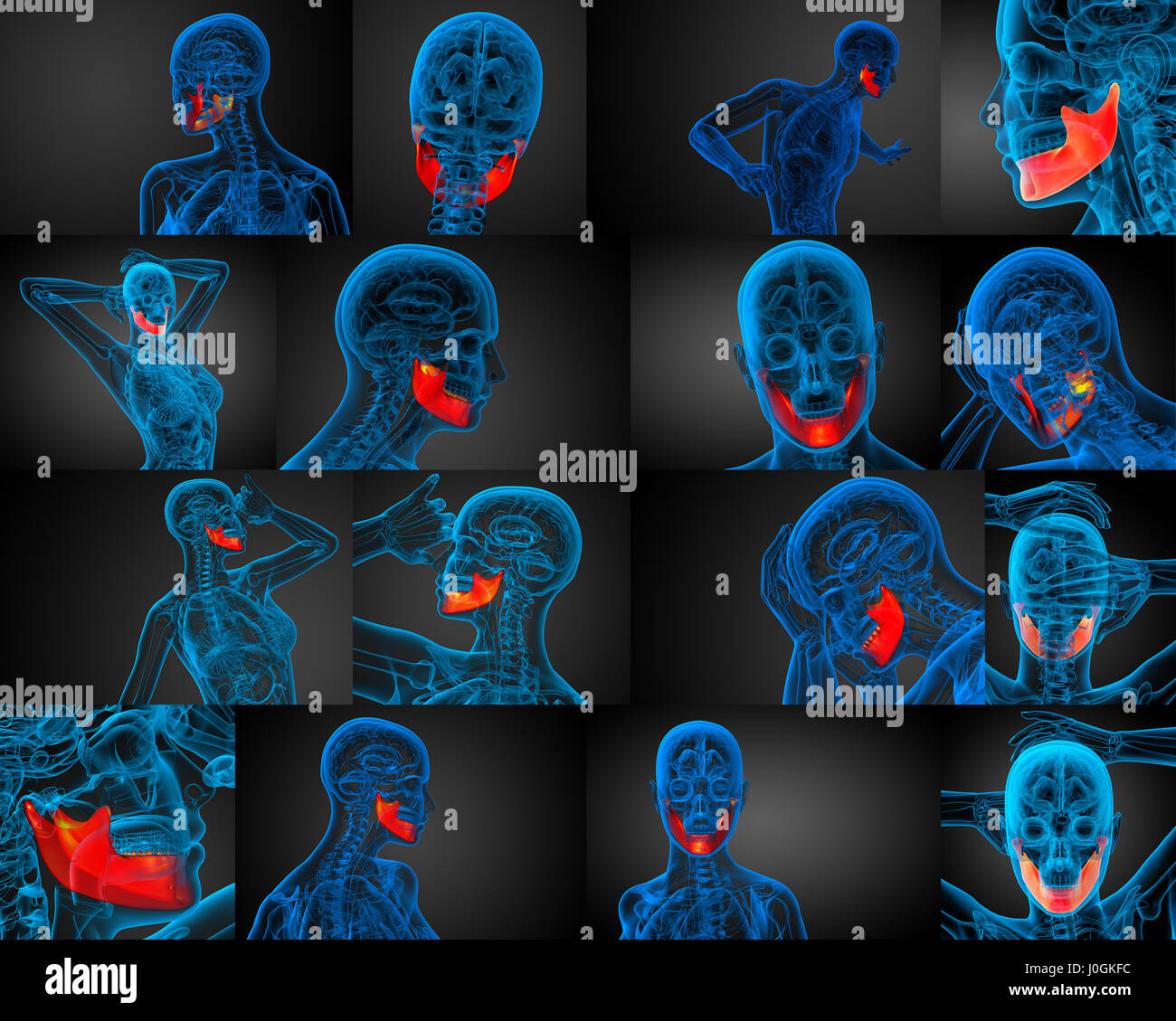 Anatomie der zahnphysiologie -Fotos und -Bildmaterial in hoher ...