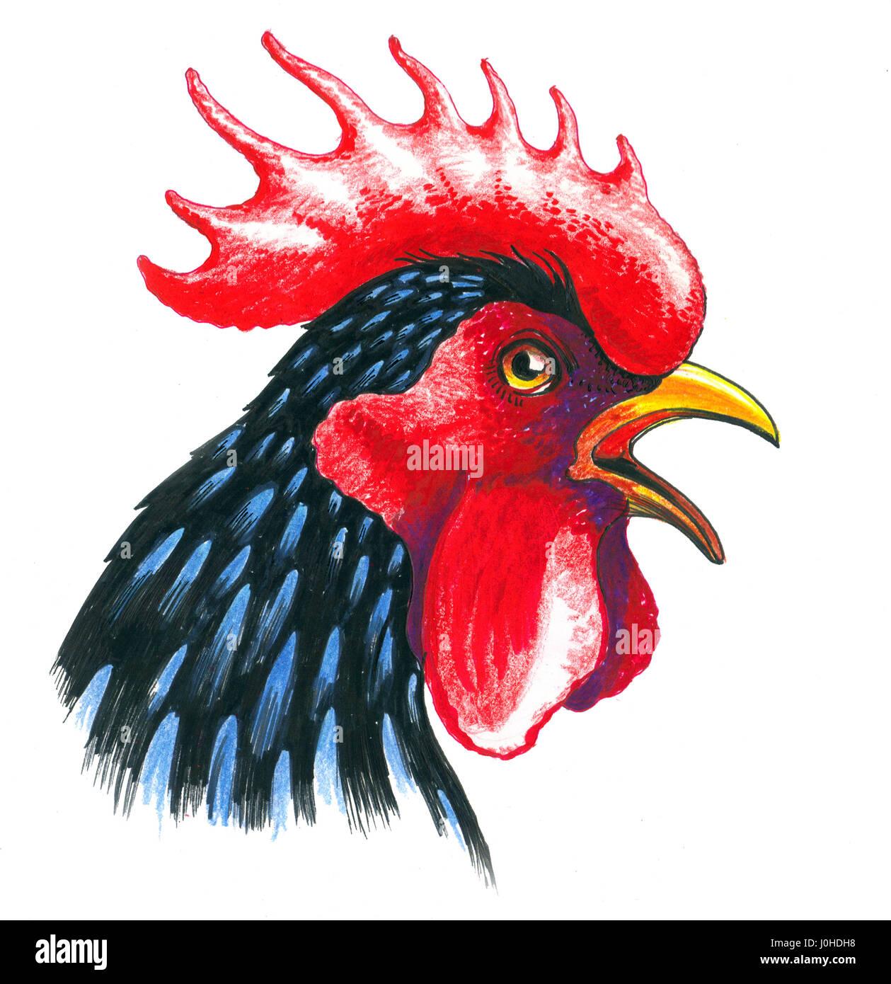 Hahn Zeichnung Stockfotos und -bilder Kaufen - Seite 3 - Alamy