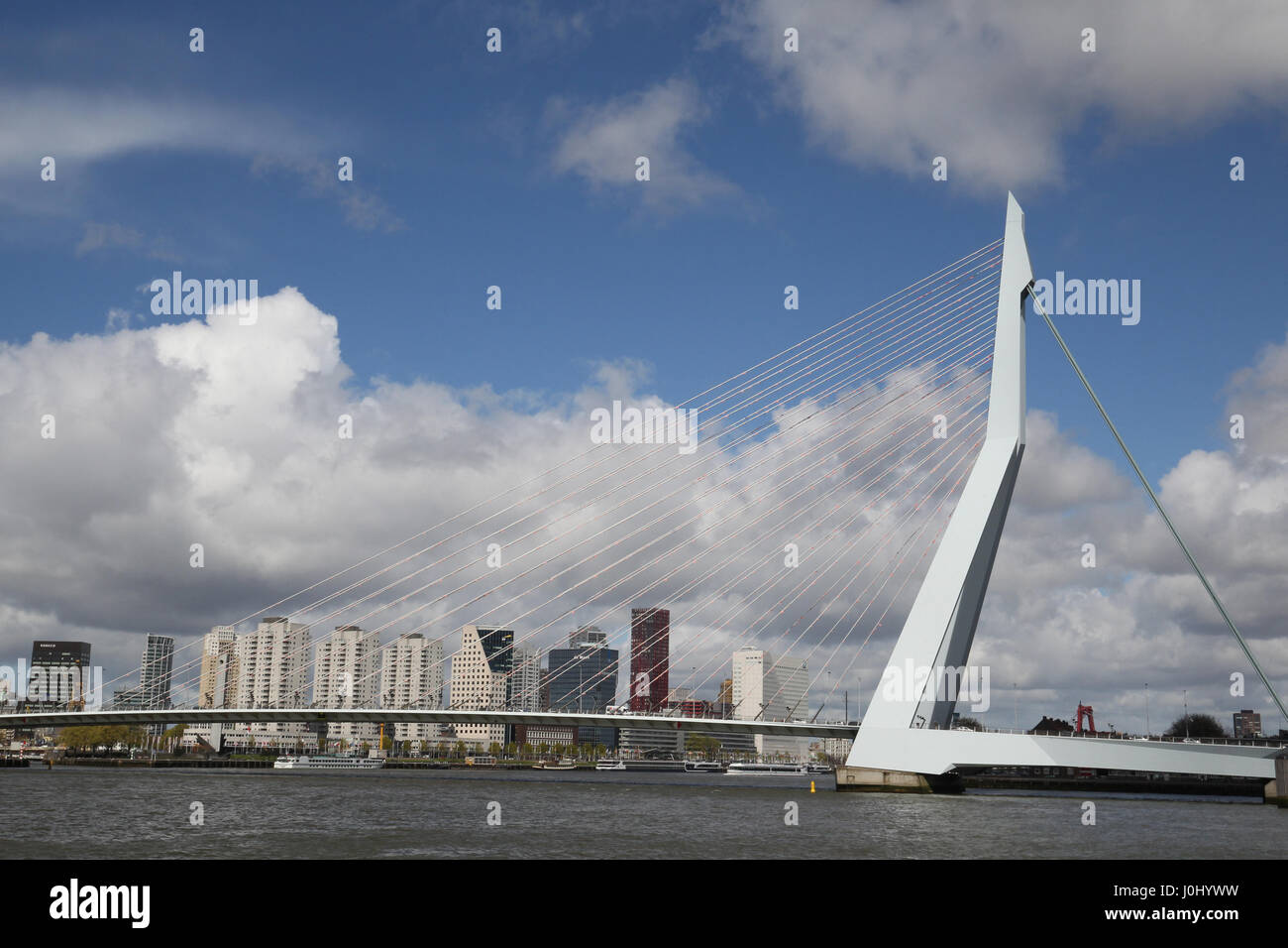 Die Erasmus-Brücke, auch bekannt als der Schwan-Brücke mit Blick auf ...