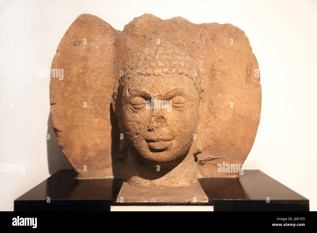 Colombo Sri Lanka National Museum Buddha Kopf mit Schnecke Muschel ...