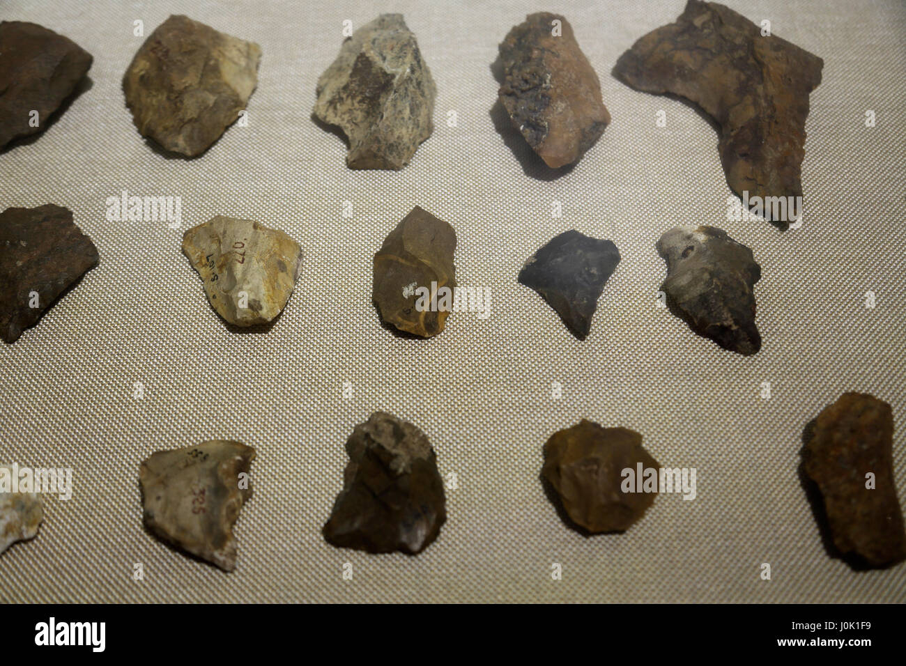 Paleolithic tools -Fotos und -Bildmaterial in hoher Auflösung – Alamy