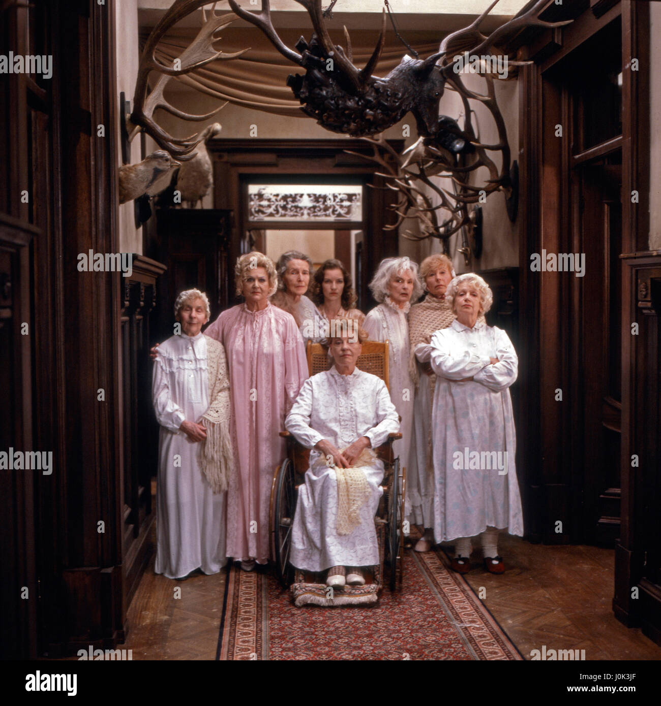 Rose renee roth -Fotos und -Bildmaterial in hoher Auflösung – Alamy