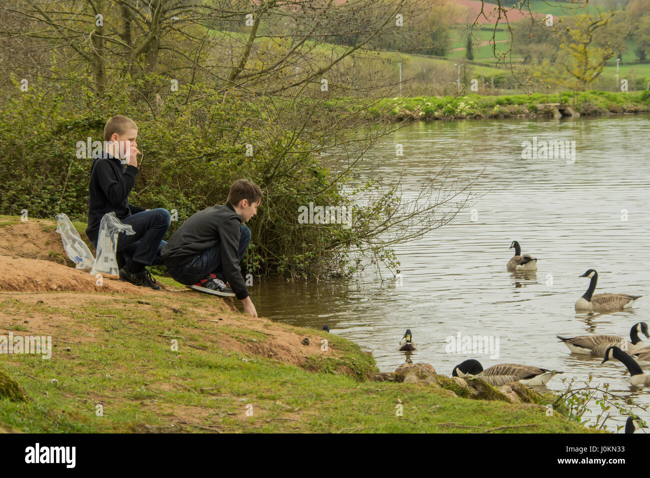 Enten kinder -Fotos und -Bildmaterial in hoher Auflösung – Alamy
