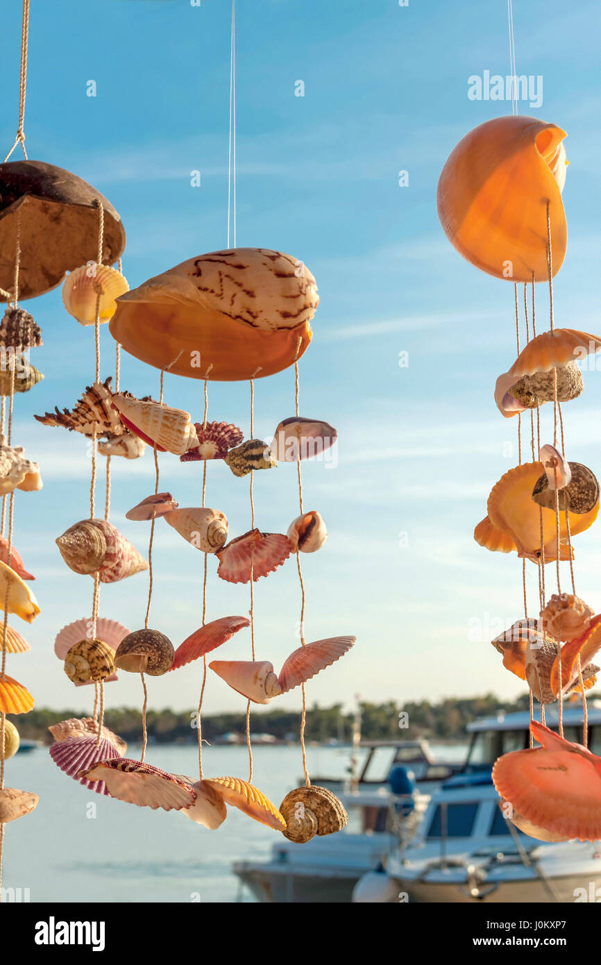 Shells Adriatic Sea Stockfotos und -bilder Kaufen - Alamy