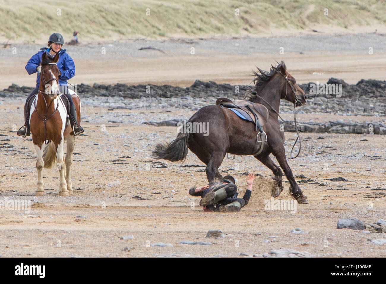 Horse rider falling from horse -Fotos und -Bildmaterial in hoher ...