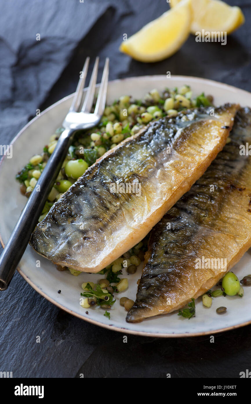 Gekochtes mackeral -Fotos und -Bildmaterial in hoher Auflösung – Alamy