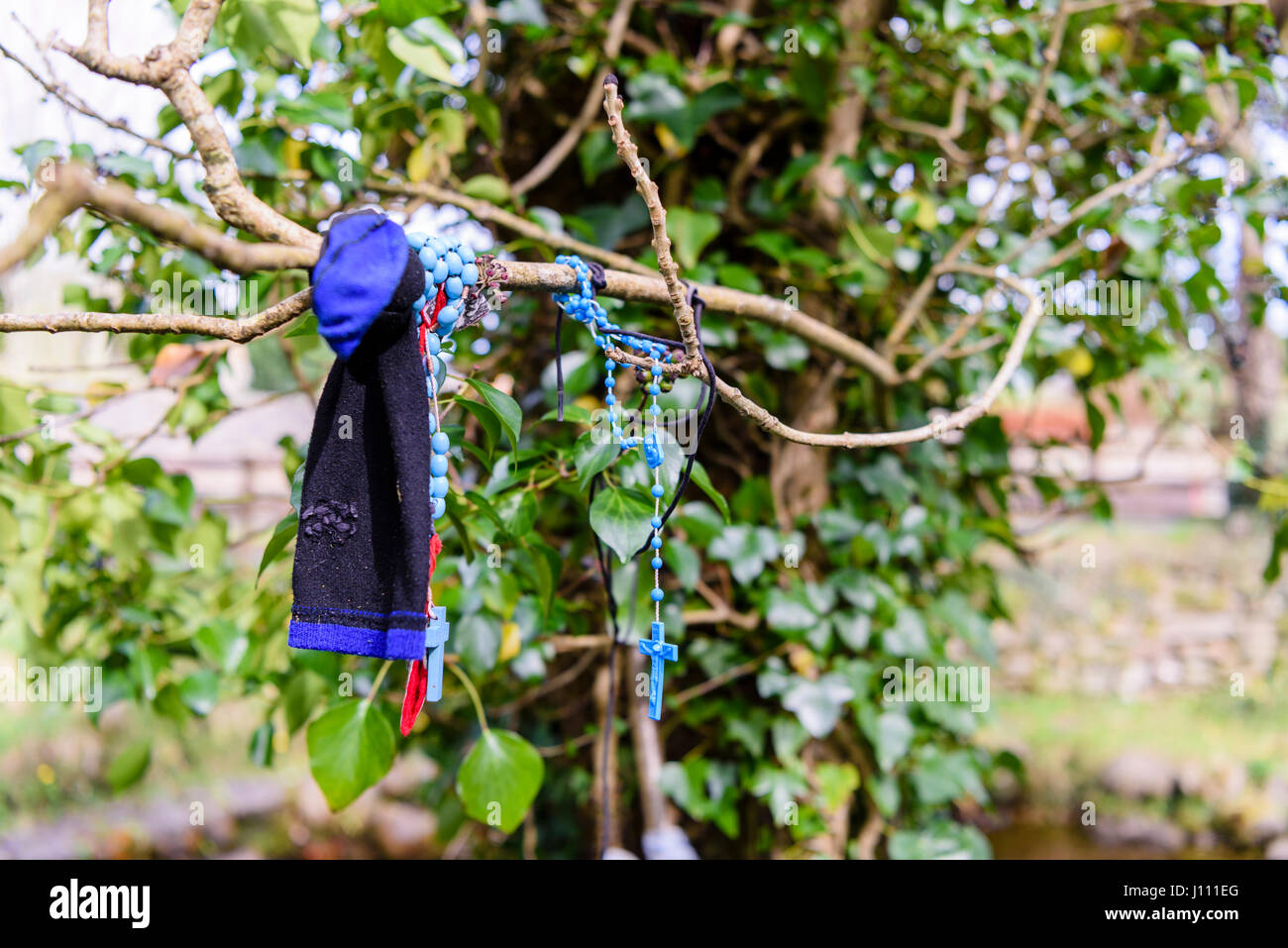 An einen baum gebunden -Fotos und -Bildmaterial in hoher Auflösung – Alamy