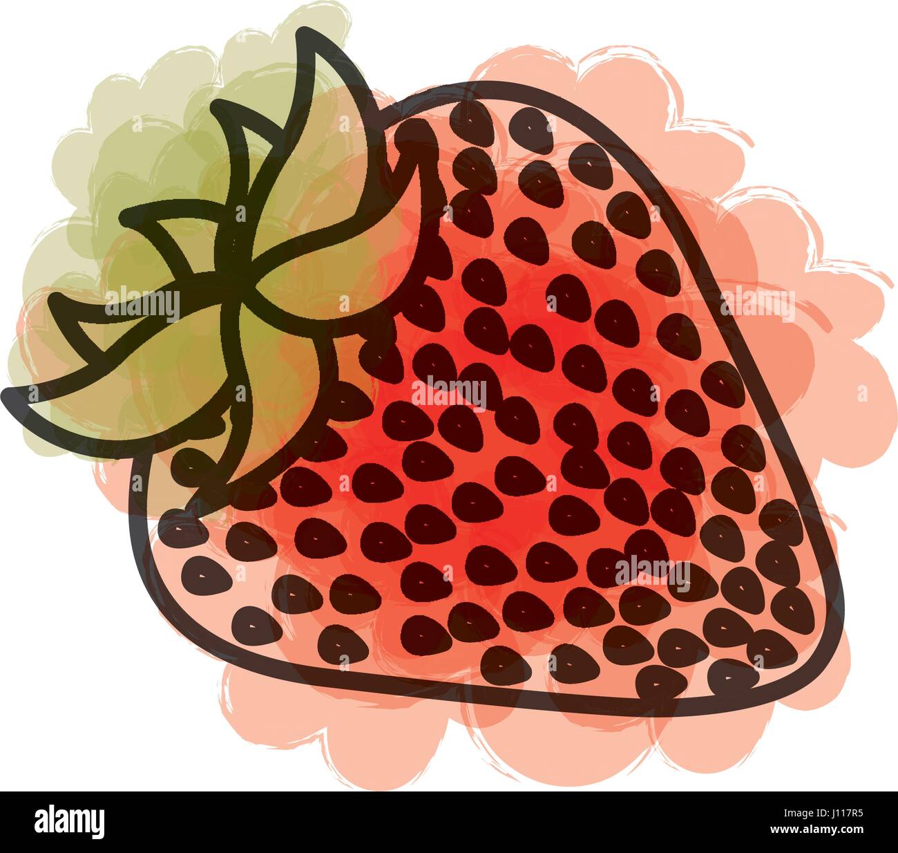 Aquarell Zeichnung der Erdbeere Frucht Stock-Vektorgrafik - Alamy