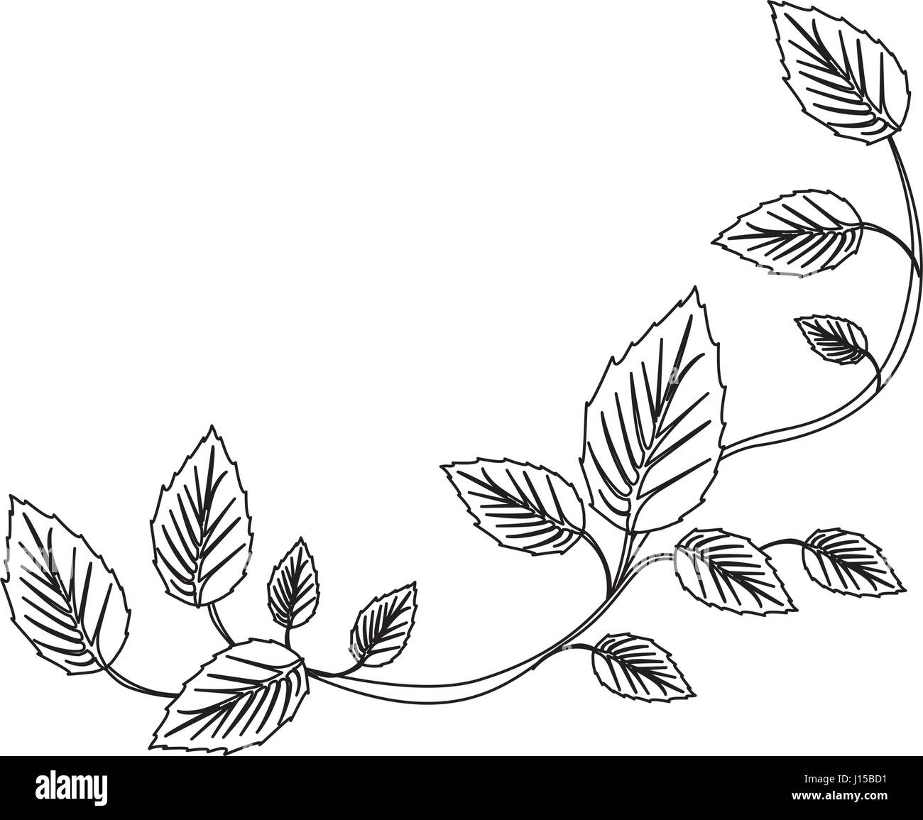 schwarze Silhouette Ranke Pflanze Stock-Vektorgrafik - Alamy