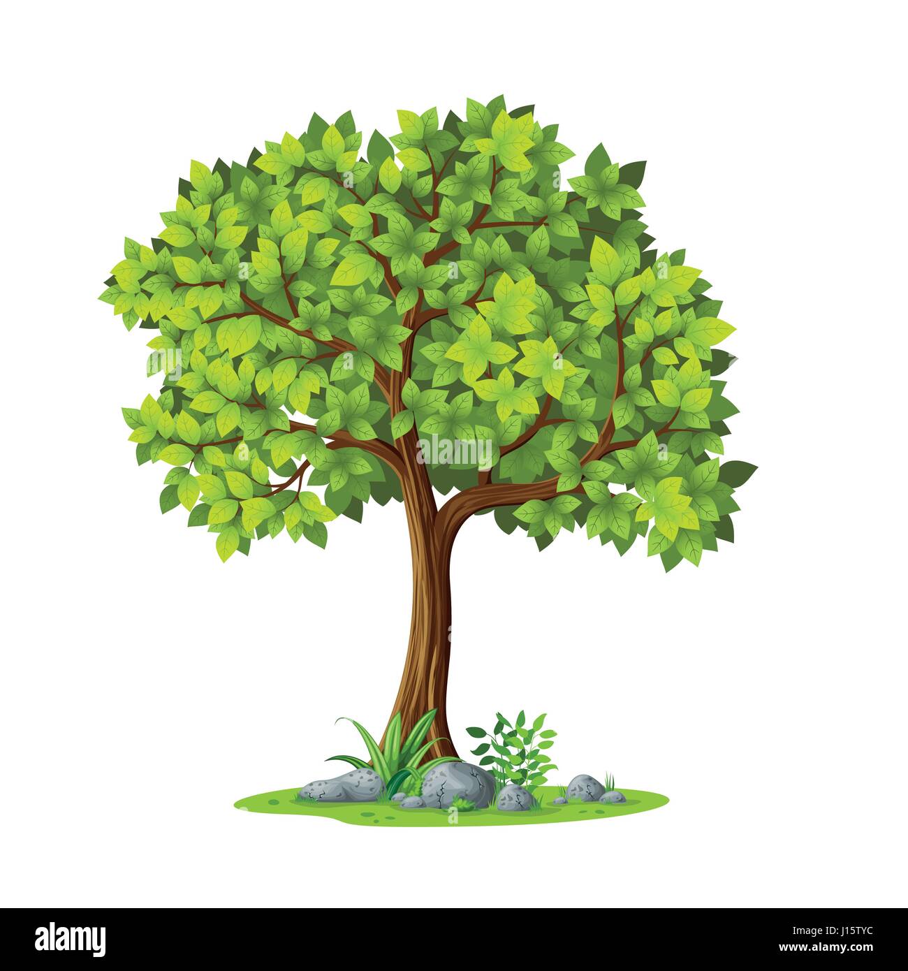 Baum comic -Fotos und -Bildmaterial in hoher Auflösung – Alamy