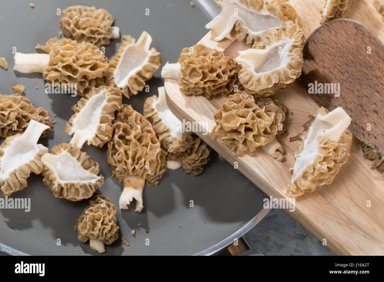 Wahrer morchel morchella esculenta -Fotos und -Bildmaterial in hoher ...